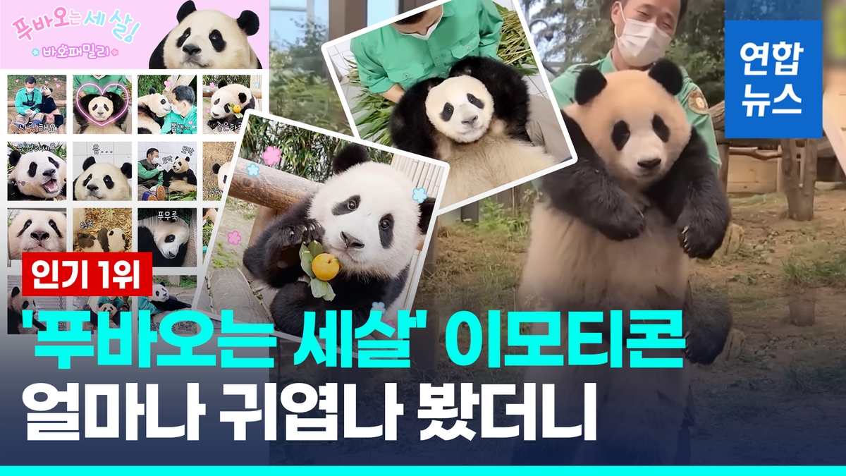 [영상] 아기판다 푸바오 카톡 이모티콘, 출시 하루만에 인기 1위 | 연합뉴스