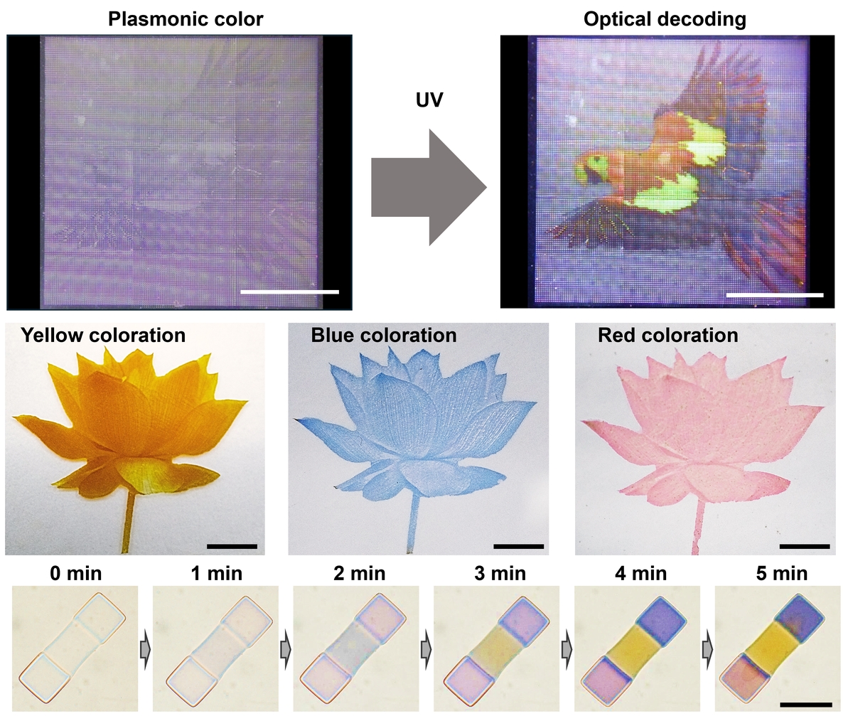 UNIST "은 나노입자 기반 은닉형 위조 방지 기술 개발" | 연합뉴스